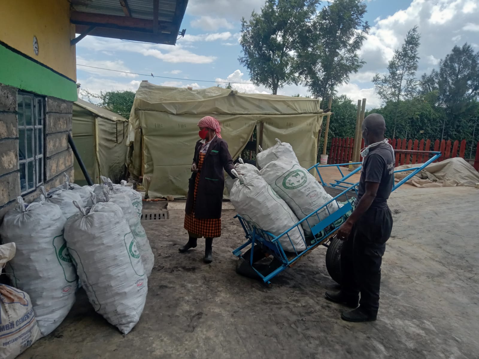 Kipepeo Briquettes